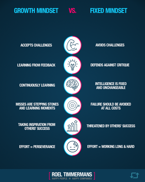 The Happy Company #5: Embracing the Growth Mindset — ROEL TIMMERMANS