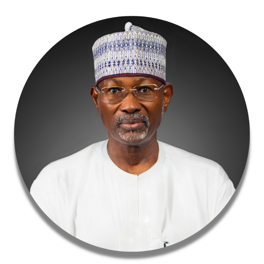 Professor Attahiru Muhammadu Jega - Aig-Imoukhuede Foundation