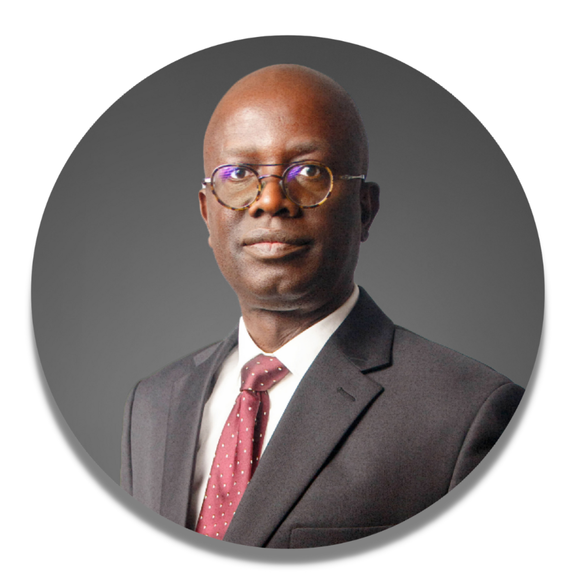 Mr. Olusegun Adeniyi - Aig-Imoukhuede Foundation