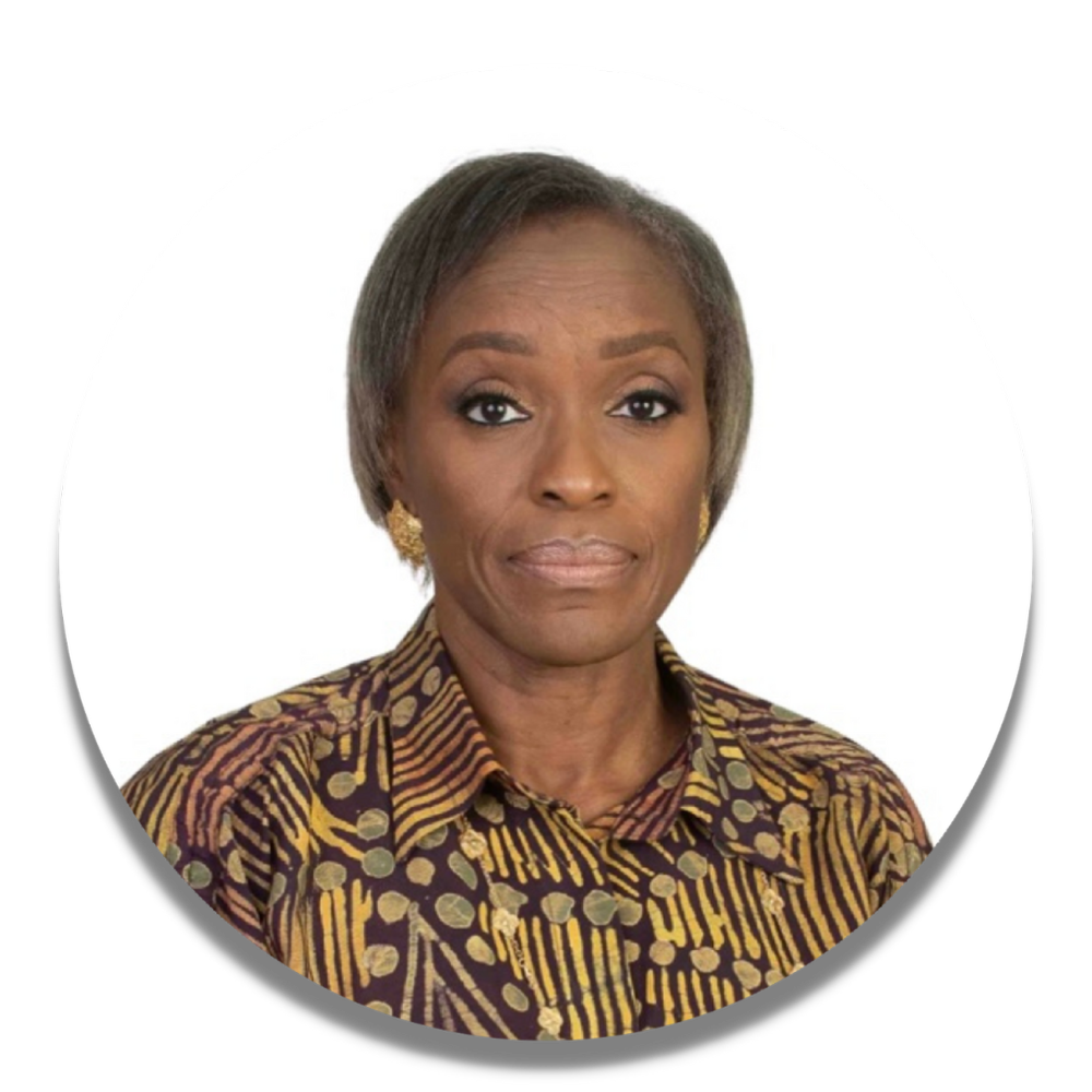 Dr. Omobola Johnson - Aig-Imoukhuede Foundation