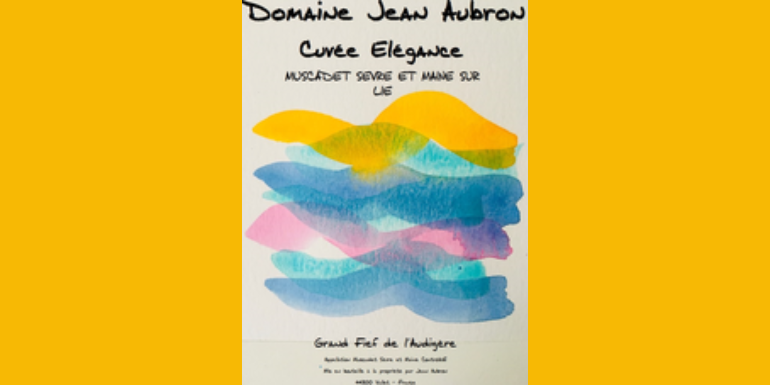 Jean-Pascal Aubron: The Maestro of Muscadet — Wild Wines