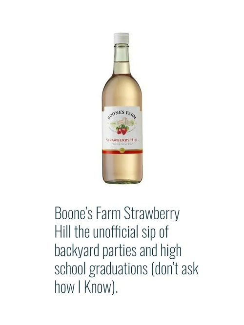 Boone’s Farm Strawberry Hill Punch | Retro Party Drink Idea — Vintage ...