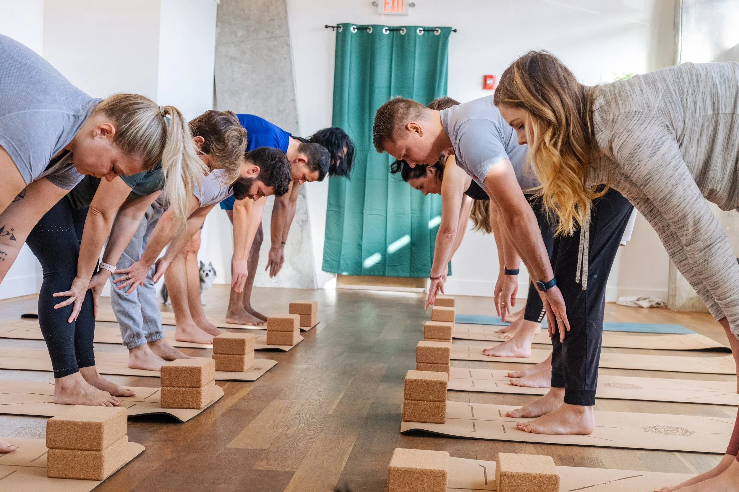 Classes — Up Dog Yoga Community - Power Flow Yin Prenatal