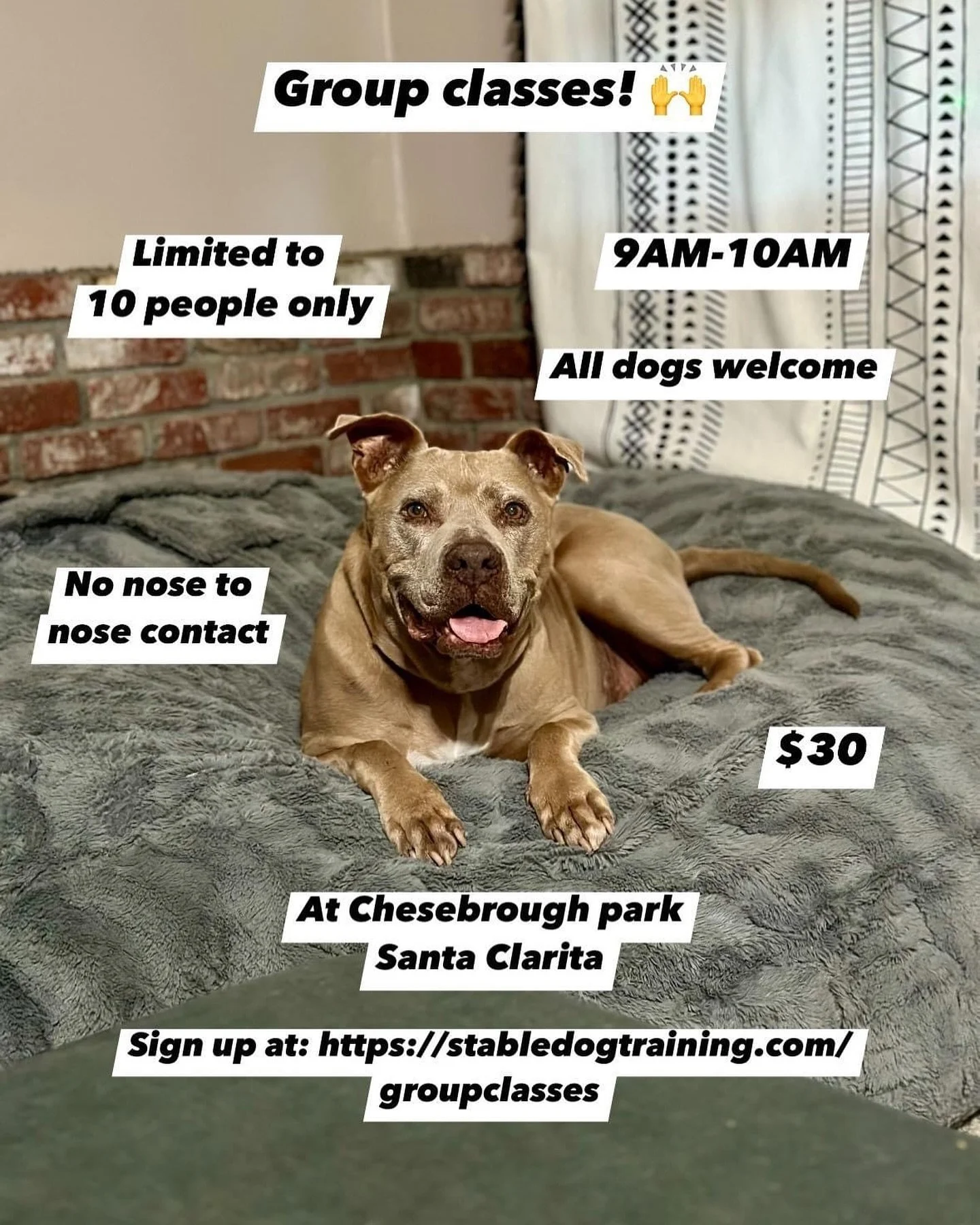 STABLE Dog Training | Santa Clarita