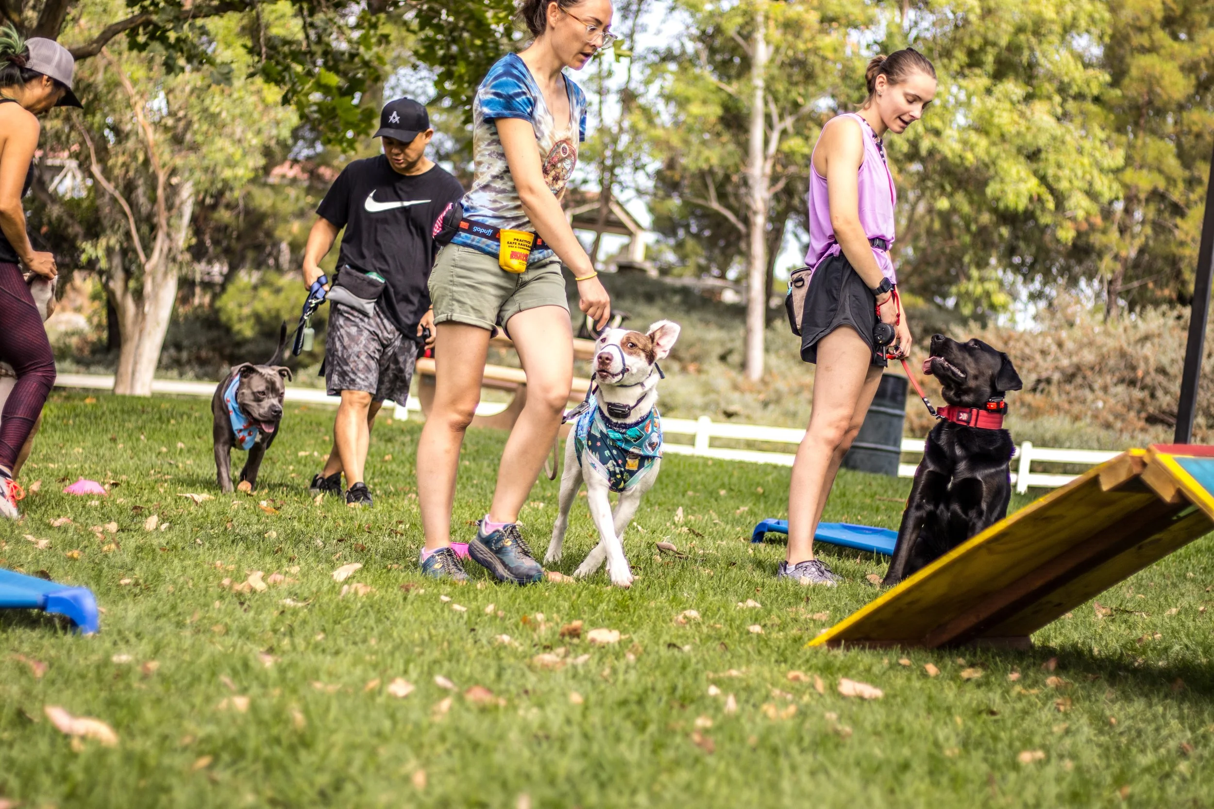 STABLE Dog Training | Santa Clarita