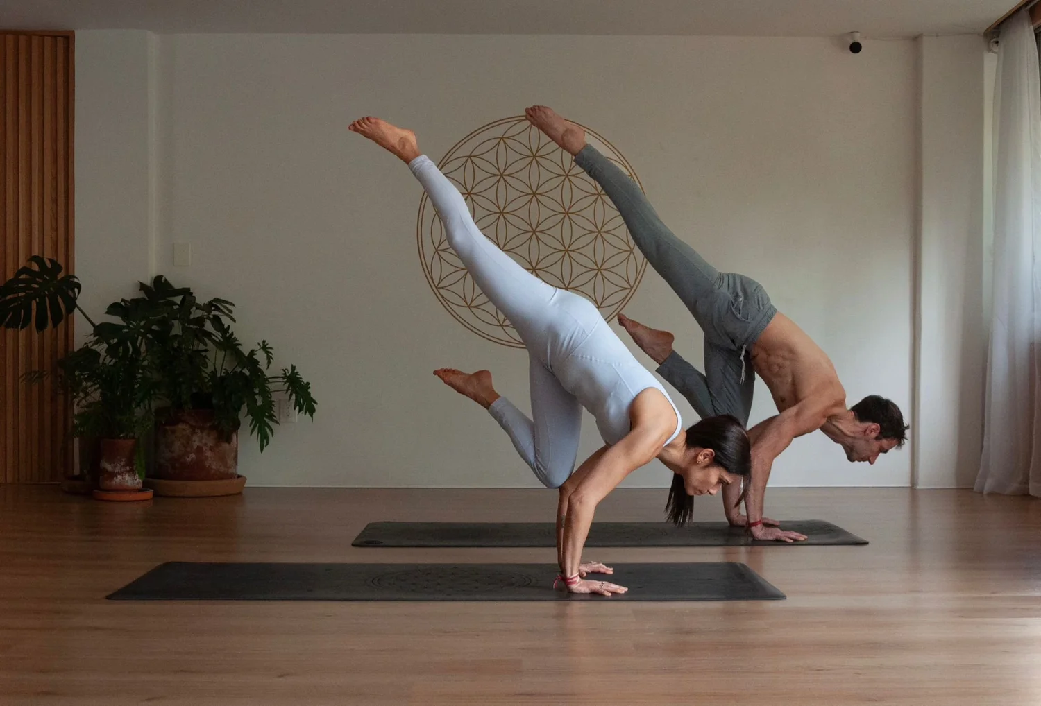 Tapas Retreats — The Yoga Shala