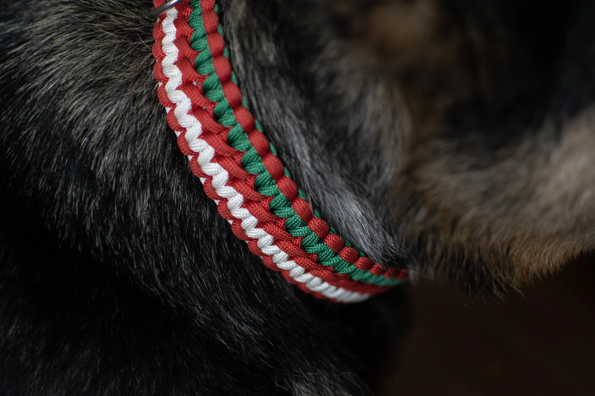 Paracord Dog Collar — Five Fifty Master Creations