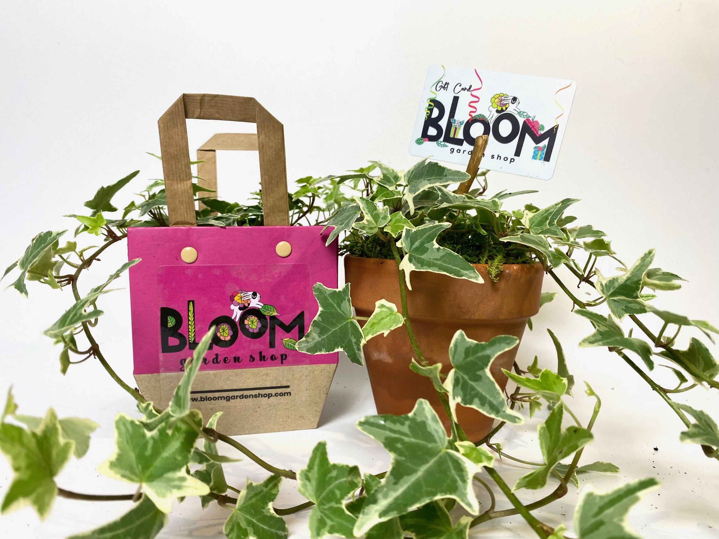 Bloom Garden Shop