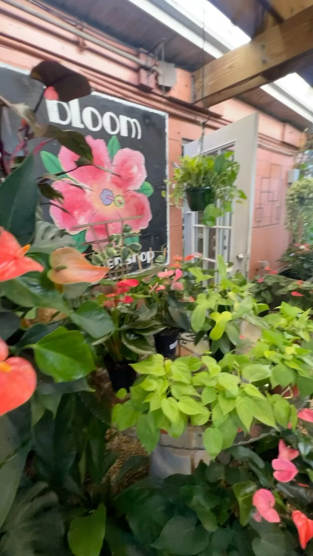 Bloom Garden Shop