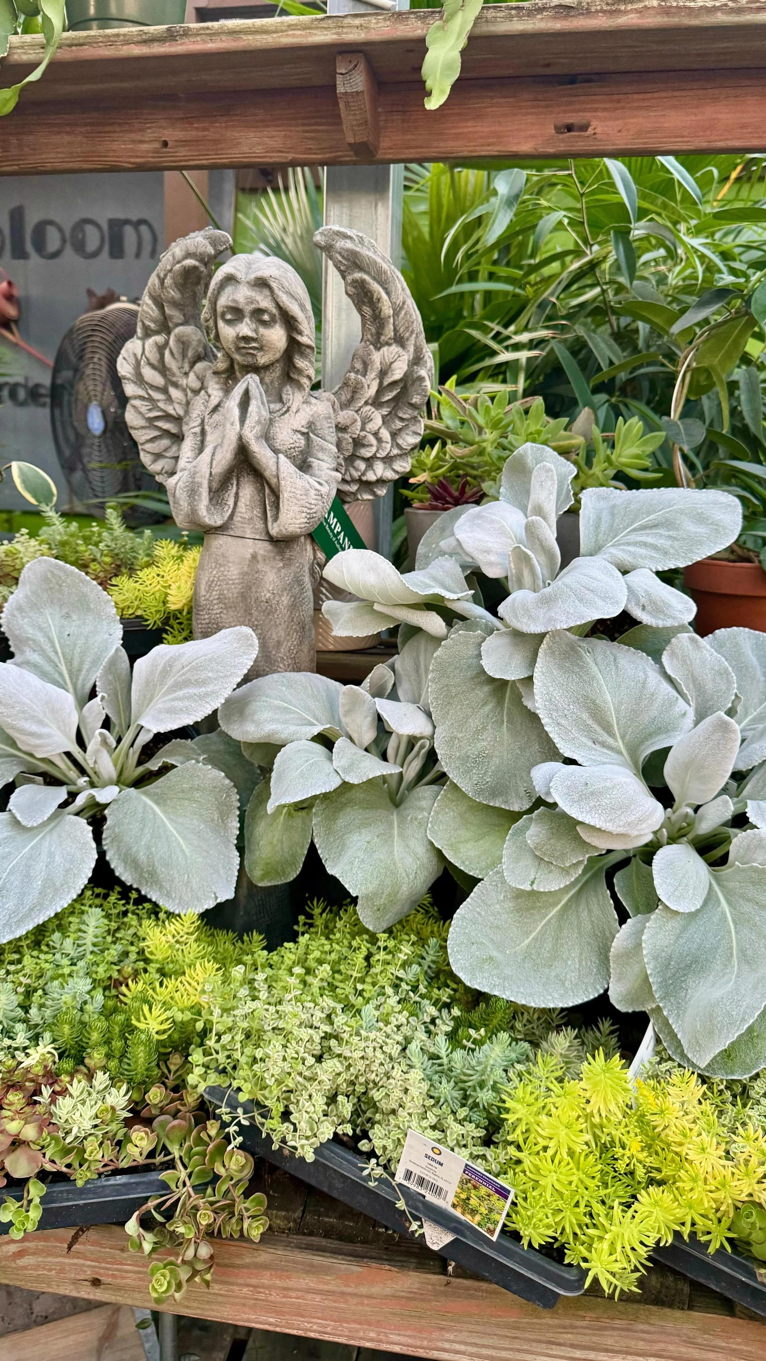 Bloom Garden Shop