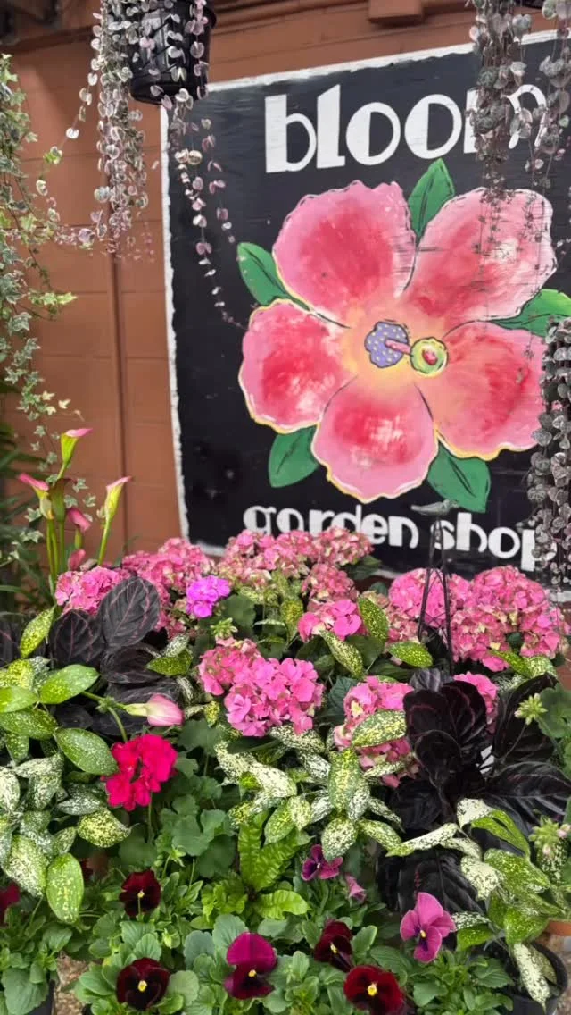 Bloom Garden Shop