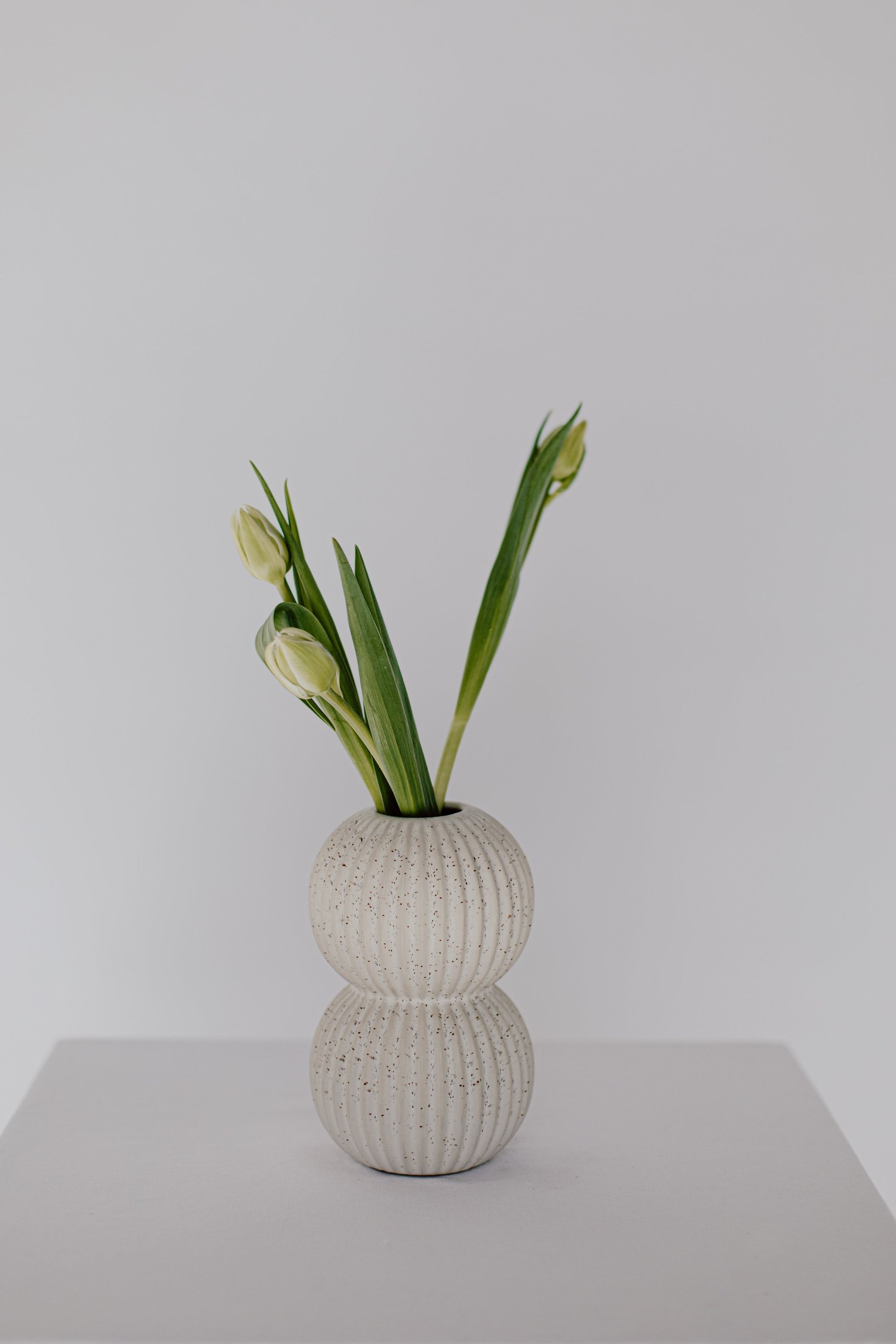 Hire: Luci Vase — MAIN EVENT WEDDINGS