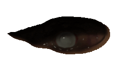 Development Roadmap // SCP: 5K // Tactical Horror