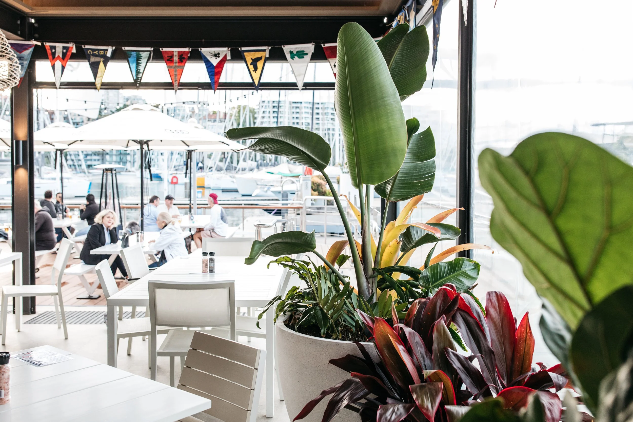 The Boathouse Group — Isaac Family Office