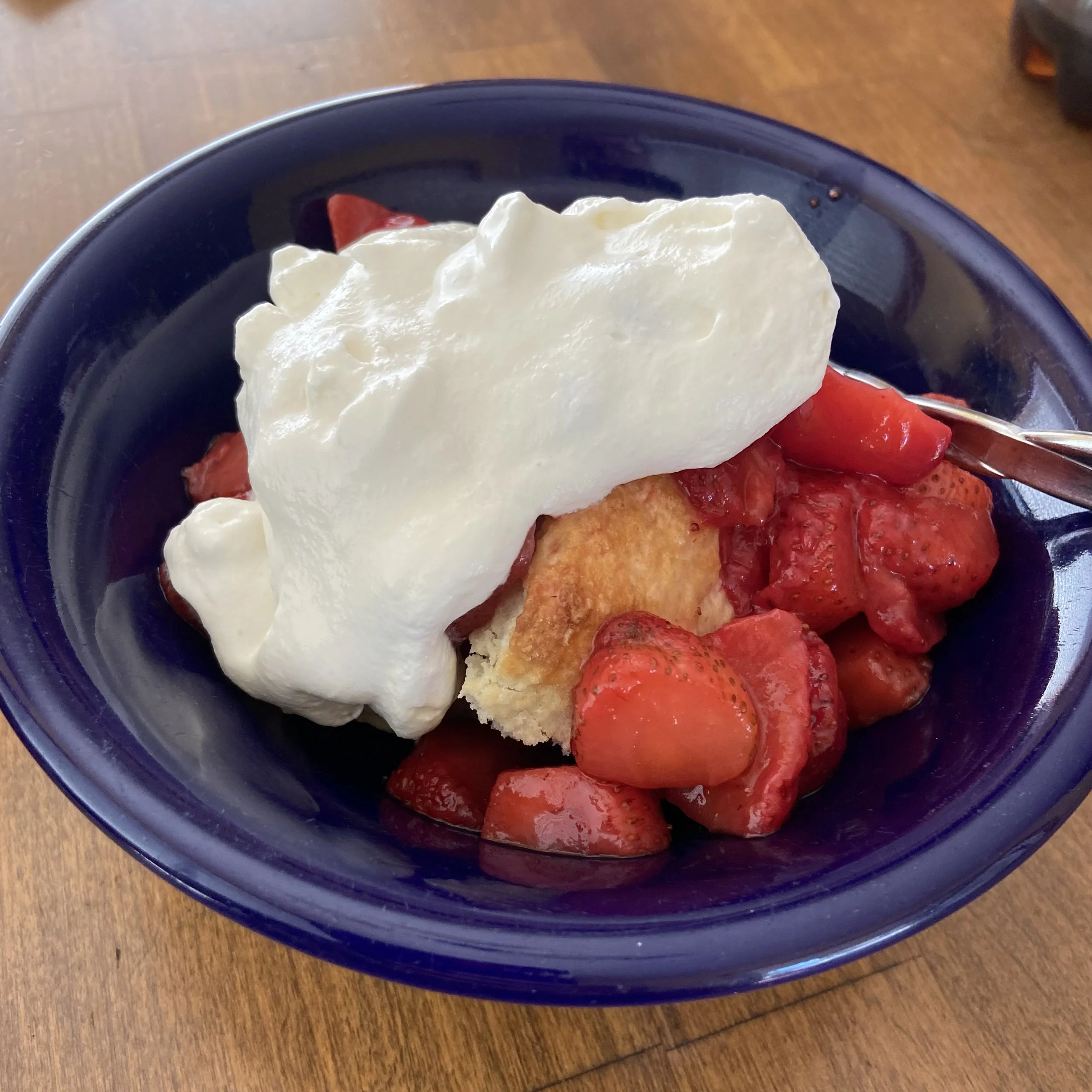 Adventures In Short Cakes — Adventures In…