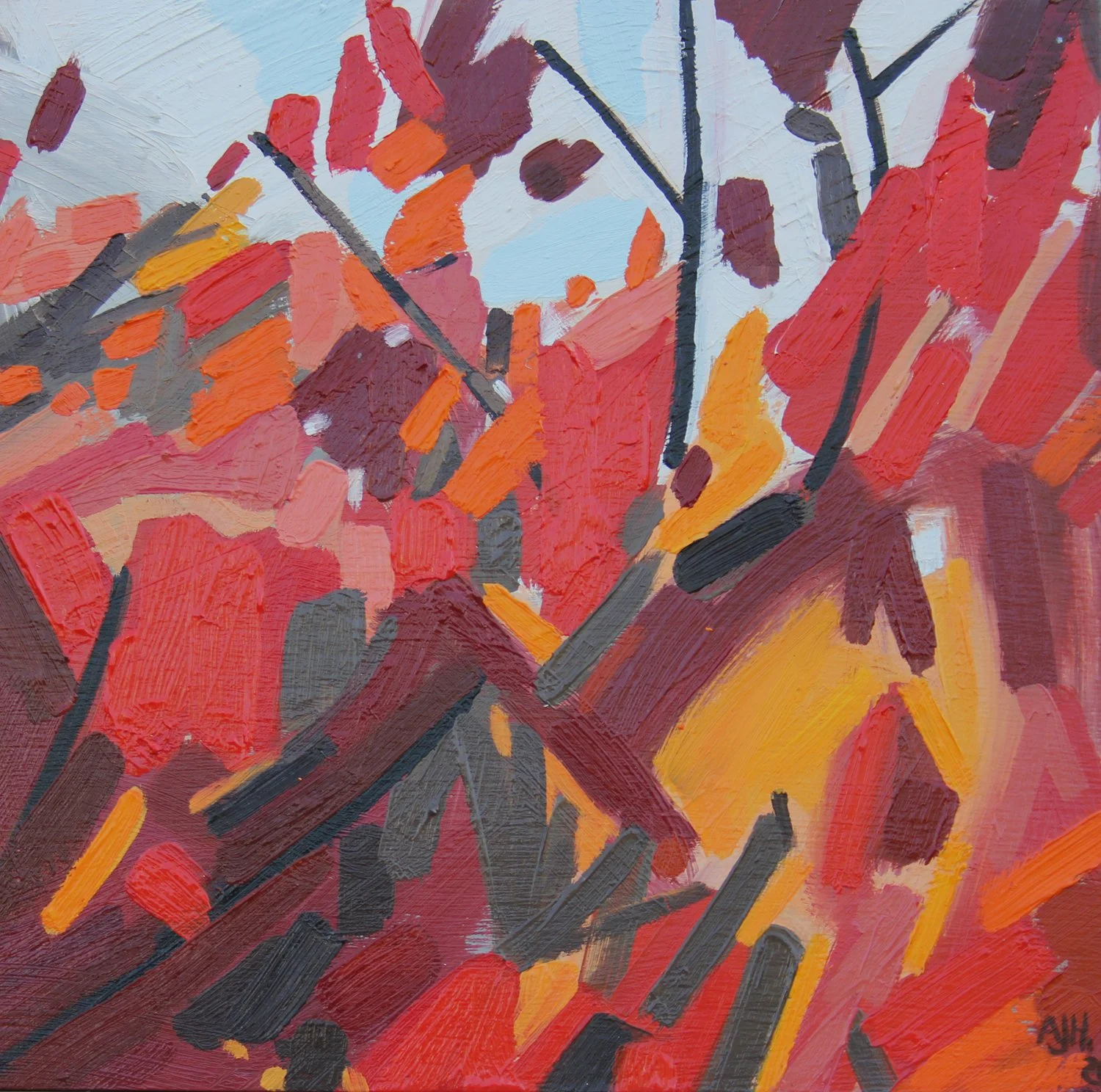 Painting Collections — JANE HINDMARCH ART