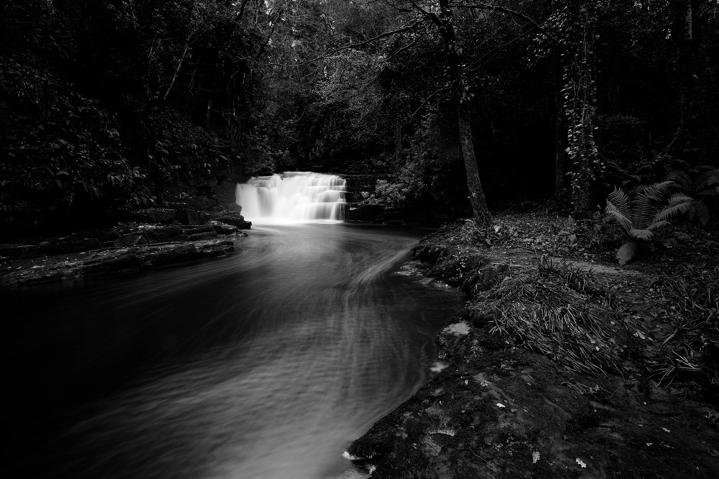 Contact — William Gleeson Photography.