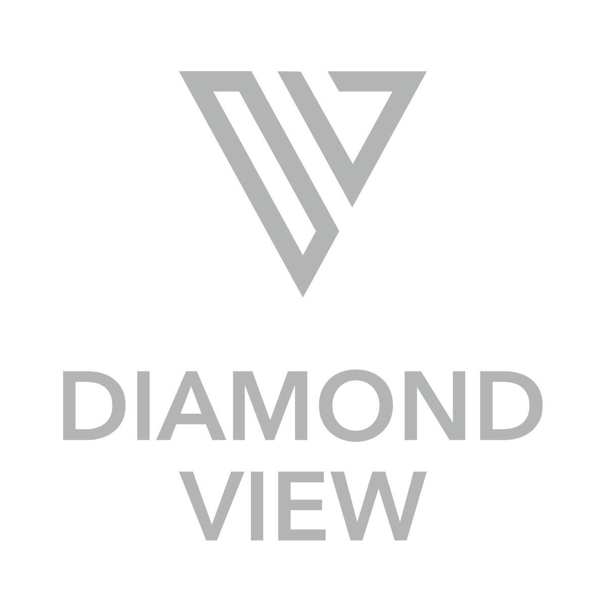Diamond Vision Tv Logo