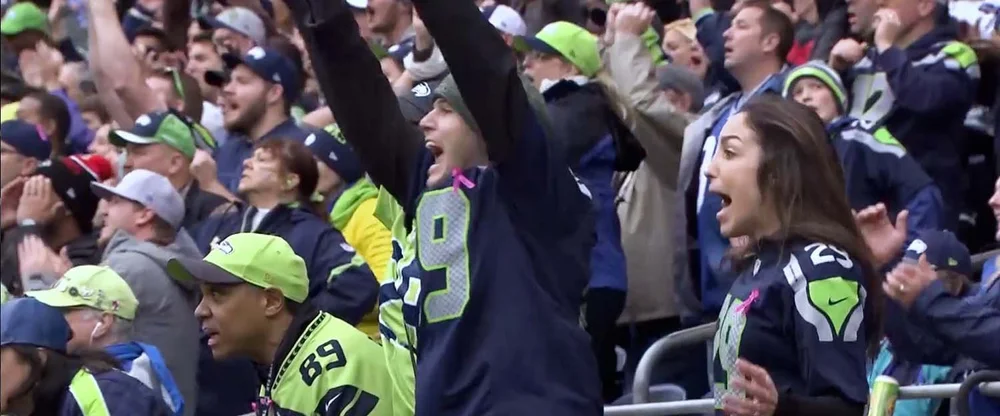 Seattle Seahawks — Diamond View
