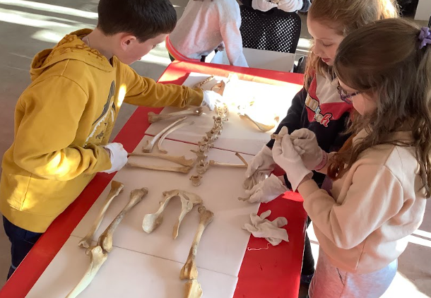 General 2 — Diggle School