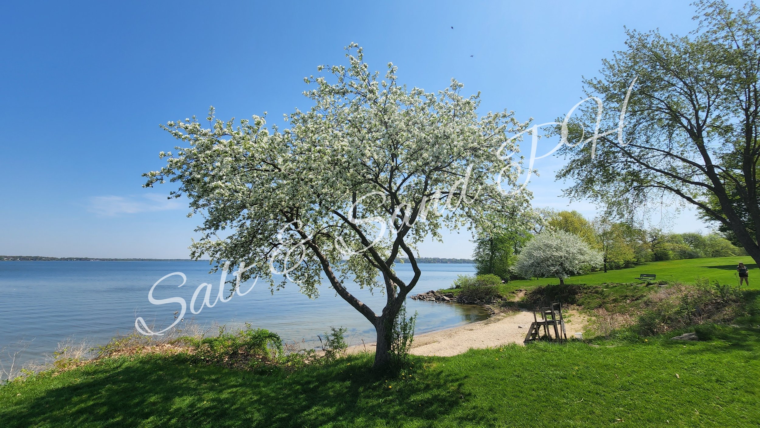 Salt & Sand Photos