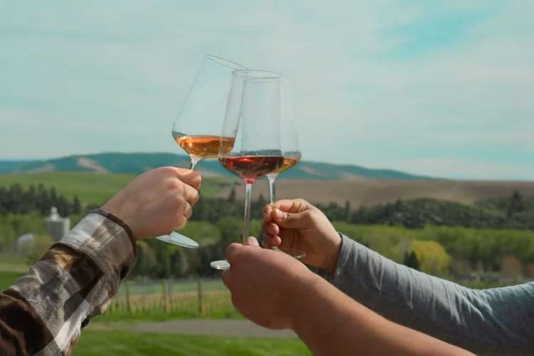 EVENTS — Echolands Winery