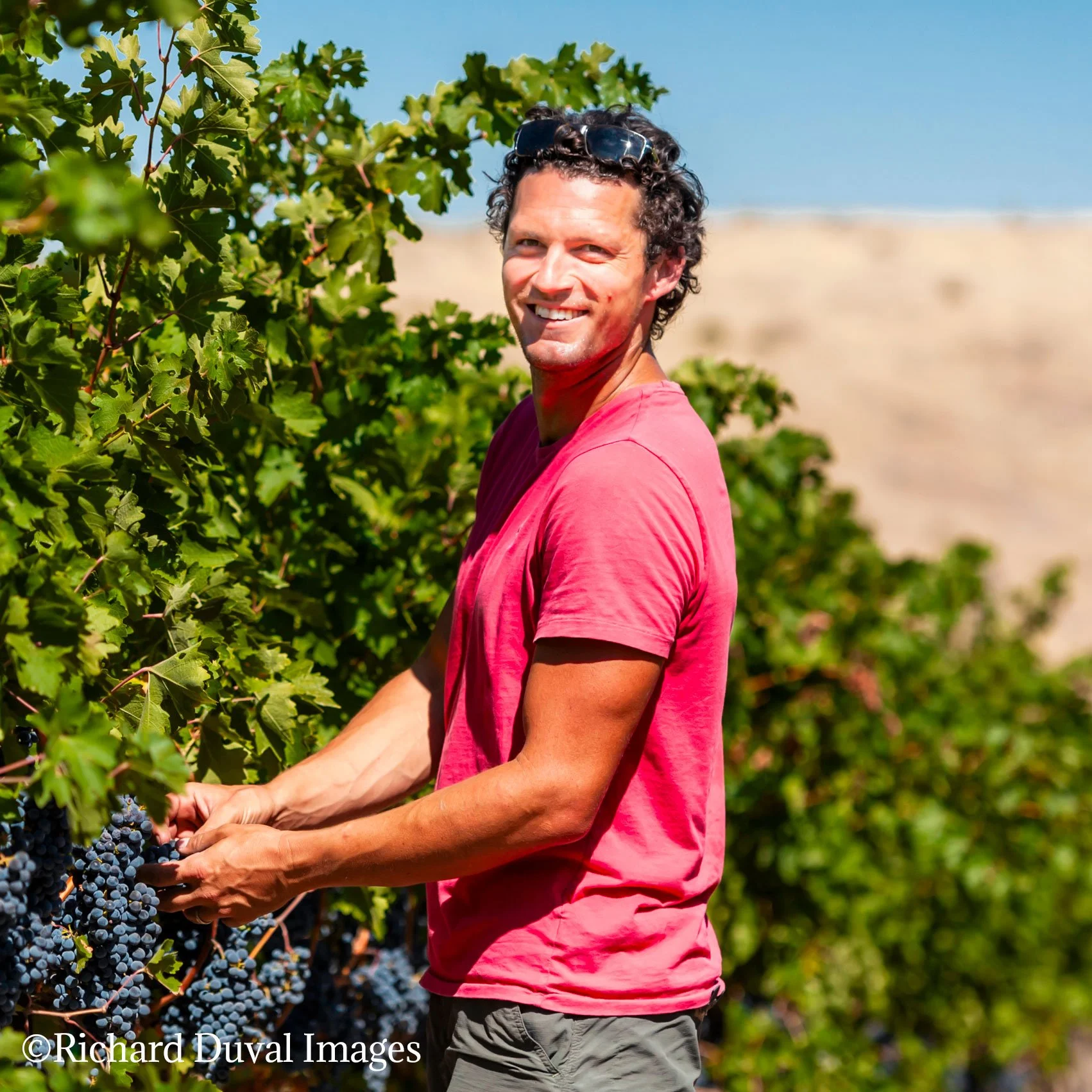 Brian bio — Echolands Winery