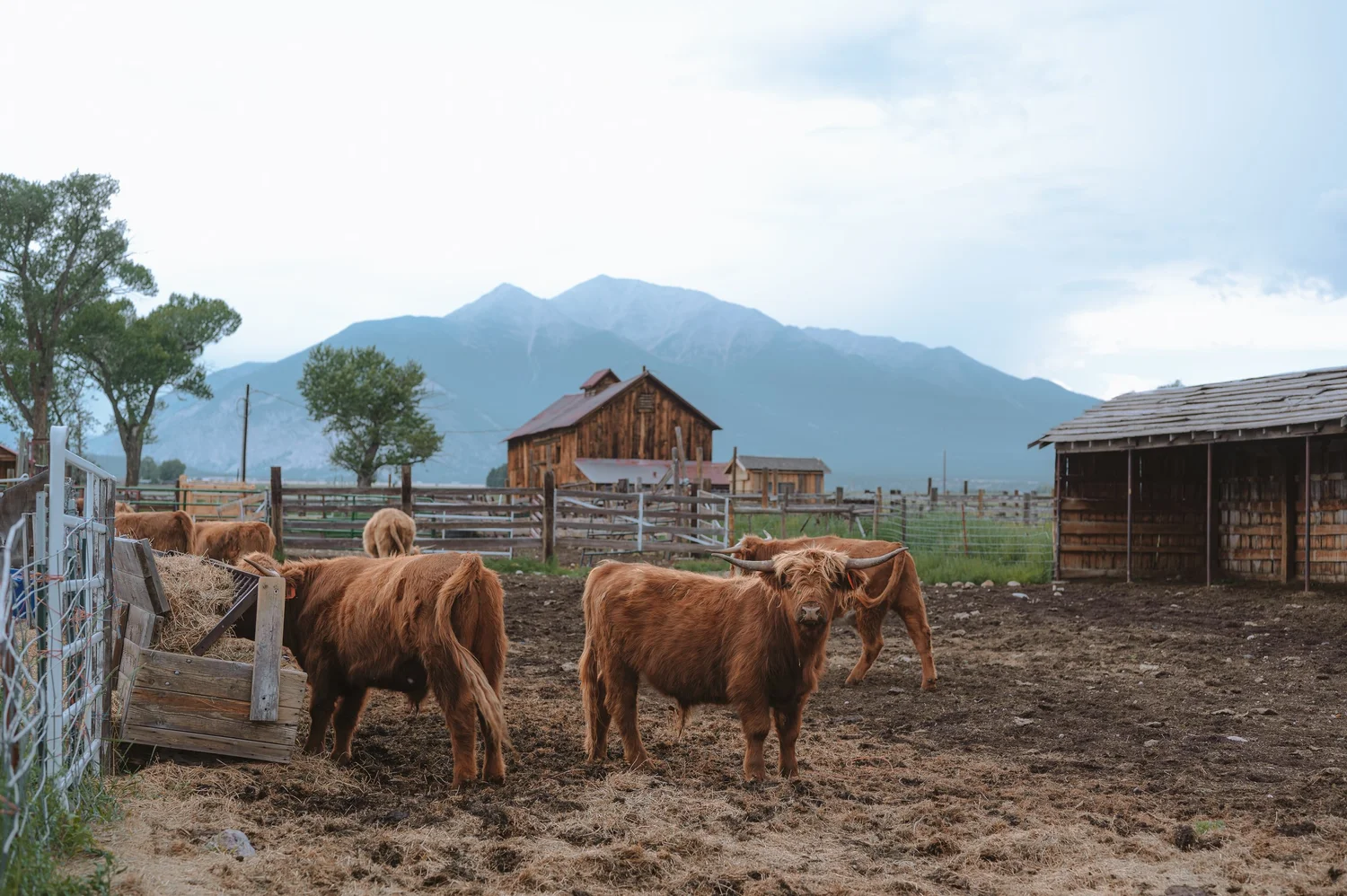 Women In Ranching
