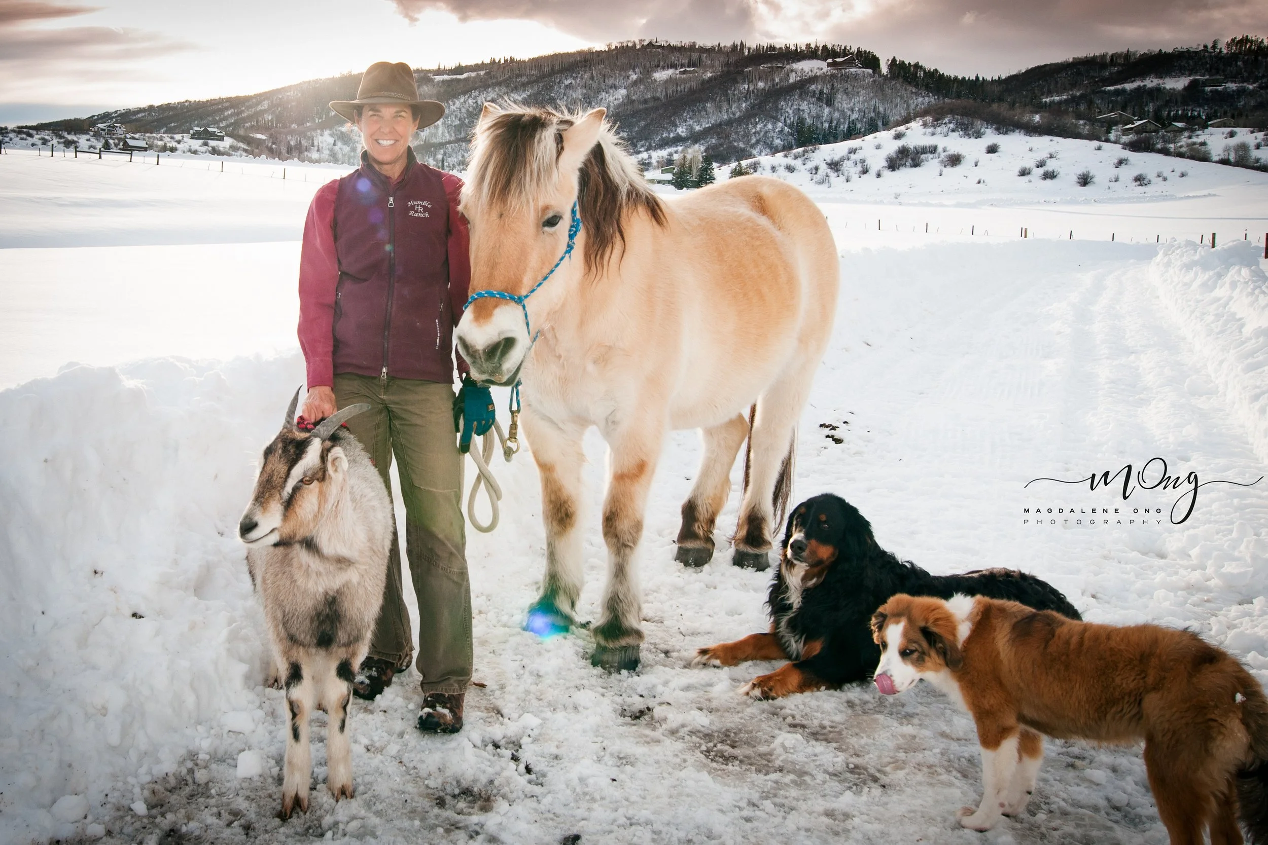 Horses, Healing, and the Land: — Women In Ranching