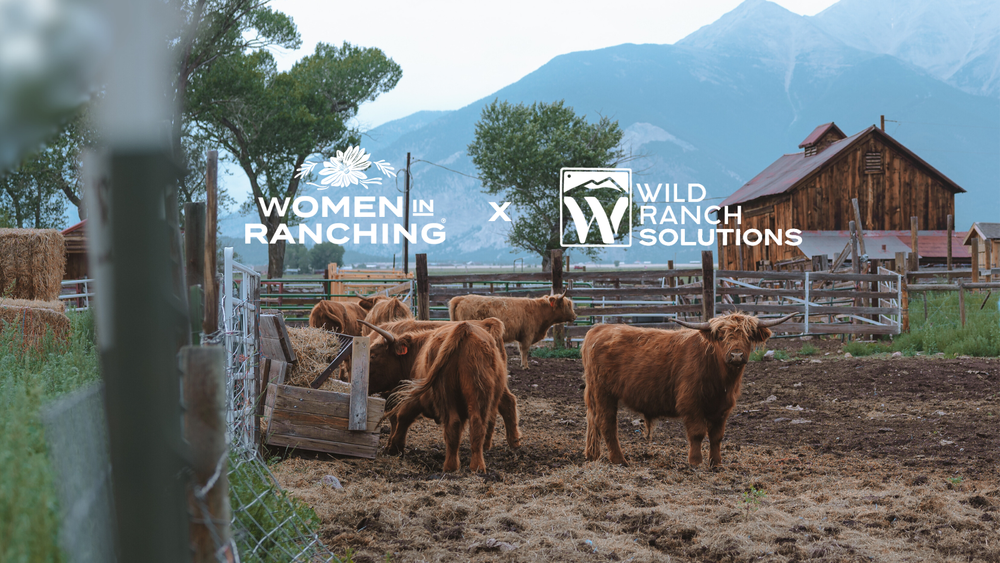 Women In Ranching