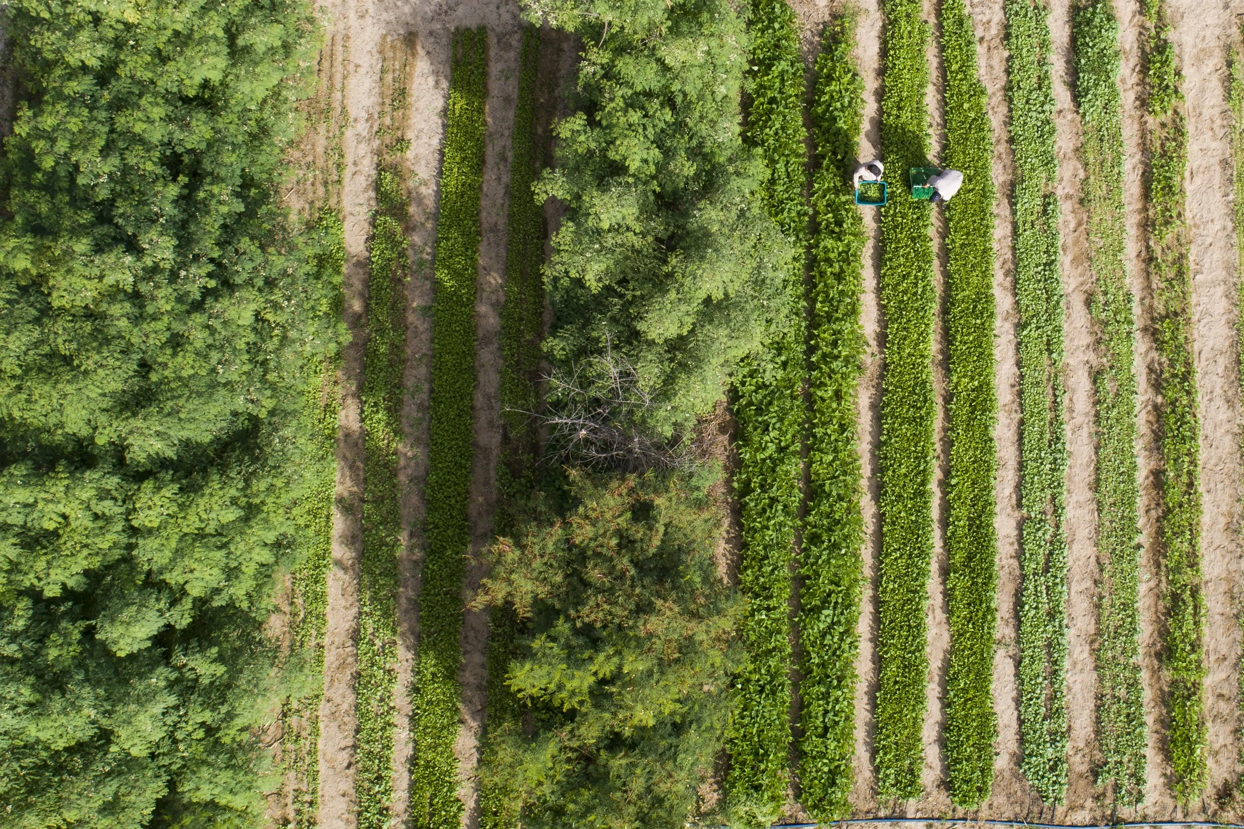 Esmerelda Ramírez — Women In Ranching