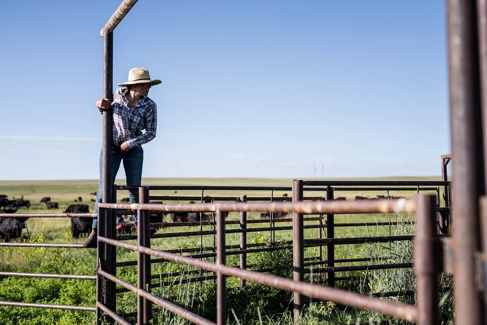 About our Programs — Women In Ranching