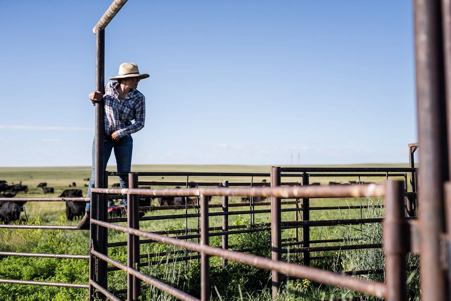 About our Programs — Women In Ranching