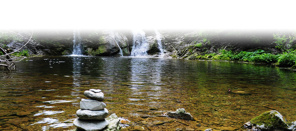 About Us — Wellspring Mental Health