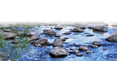 Wellspring Mental Health