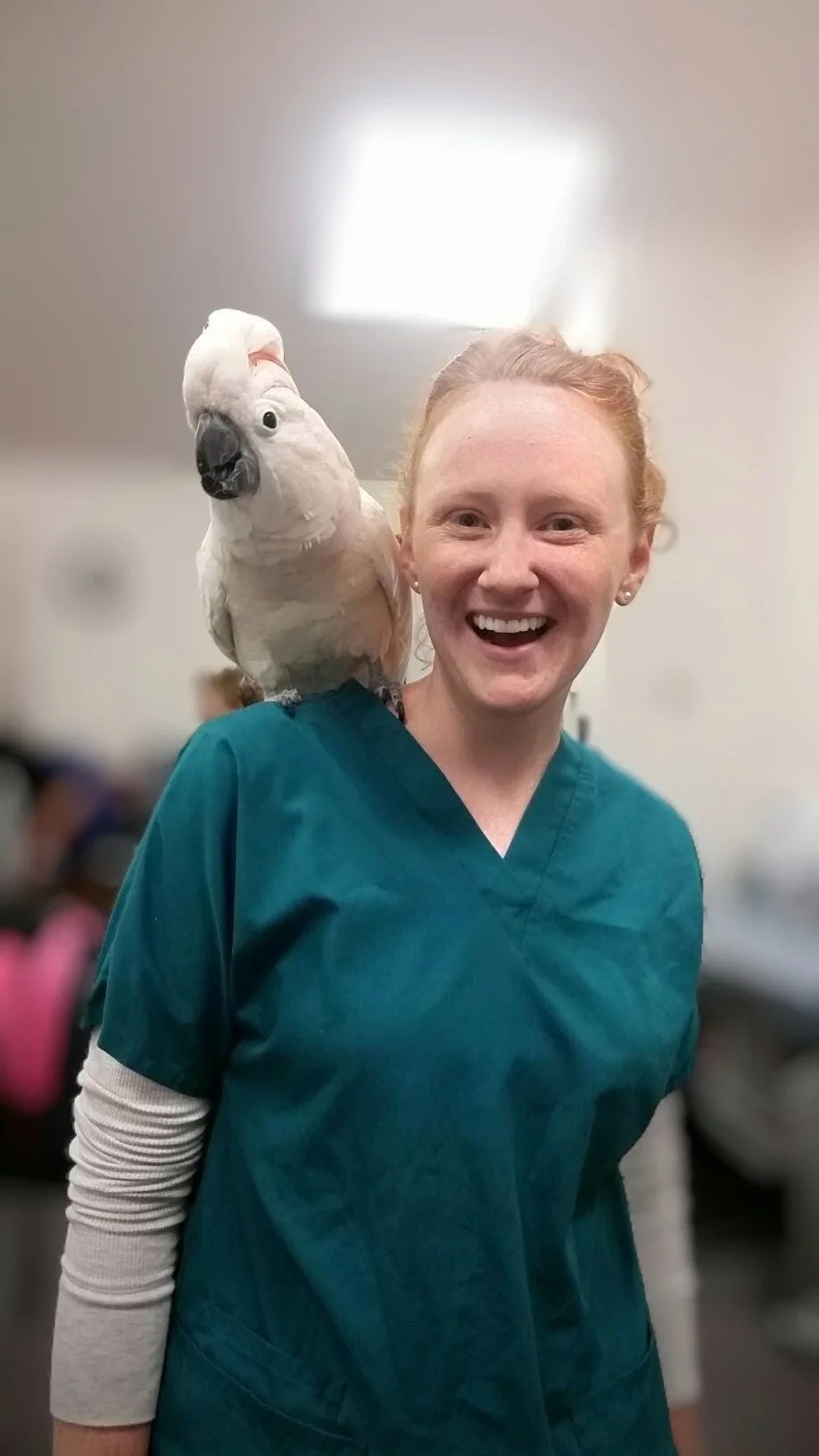 Meet the Registered Vet Technicians — Michiana Veterinary Hospital