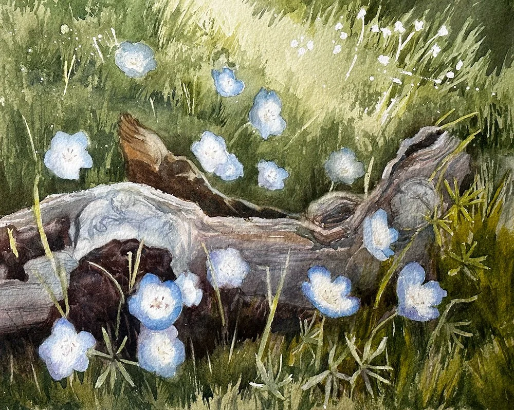 Bring Nature home and create a sanctuary. — Margaret Sloan Nature Artist