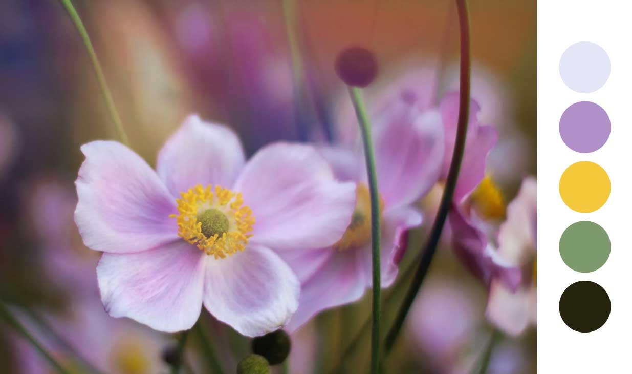 11 Nature Color Palettes To Elevate Your Brand And Boost Engagement