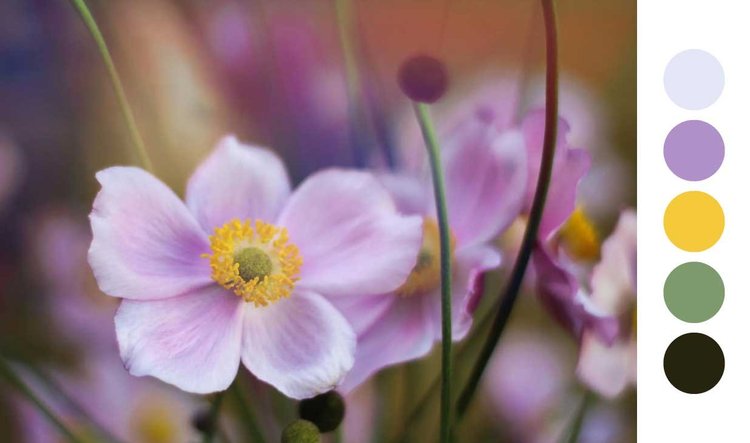 11 Nature Color Palettes To Elevate Your Brand And Boost Engagement
