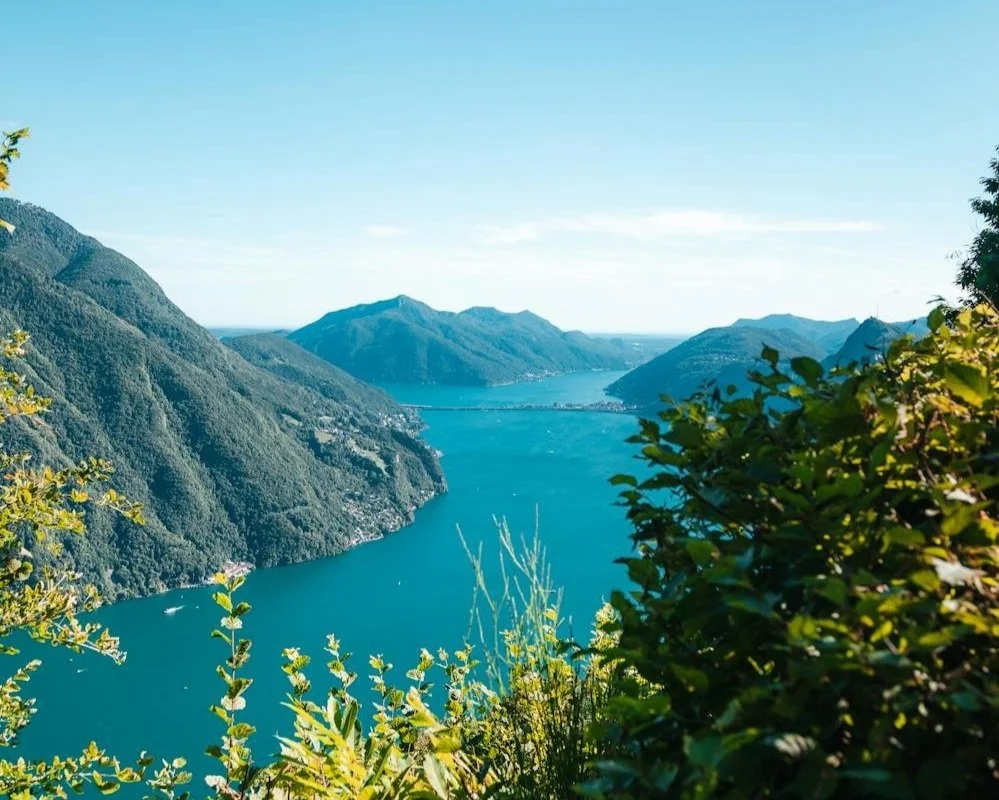 11 Nature Color Palettes To Elevate Your Brand And Boost Engagement