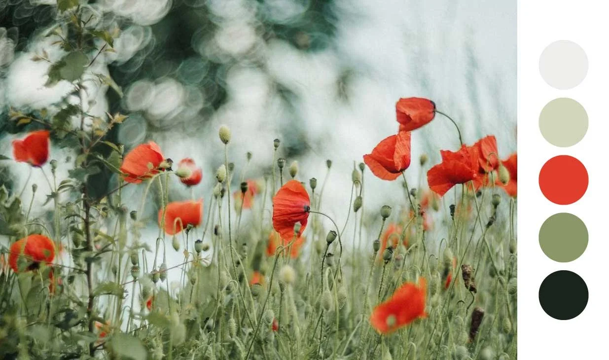 11 Nature Color Palettes To Elevate Your Brand And Boost Engagement