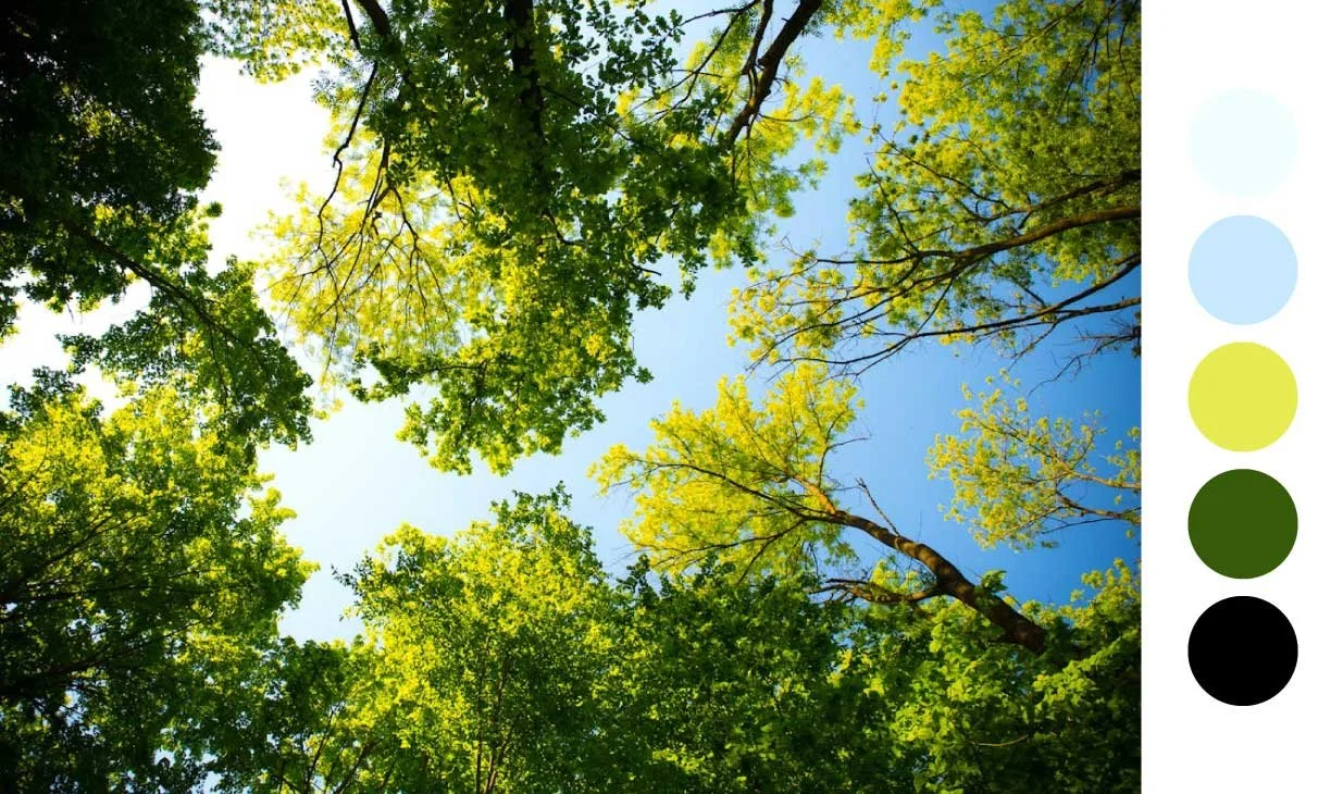 11 Nature Color Palettes To Elevate Your Brand And Boost Engagement