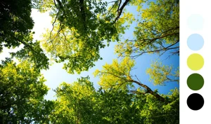 11 Nature Color Palettes To Elevate Your Brand And Boost Engagement