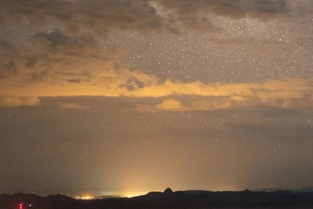 Birds and Light Pollution — Greater Big Bend International Dark Sky Reserve