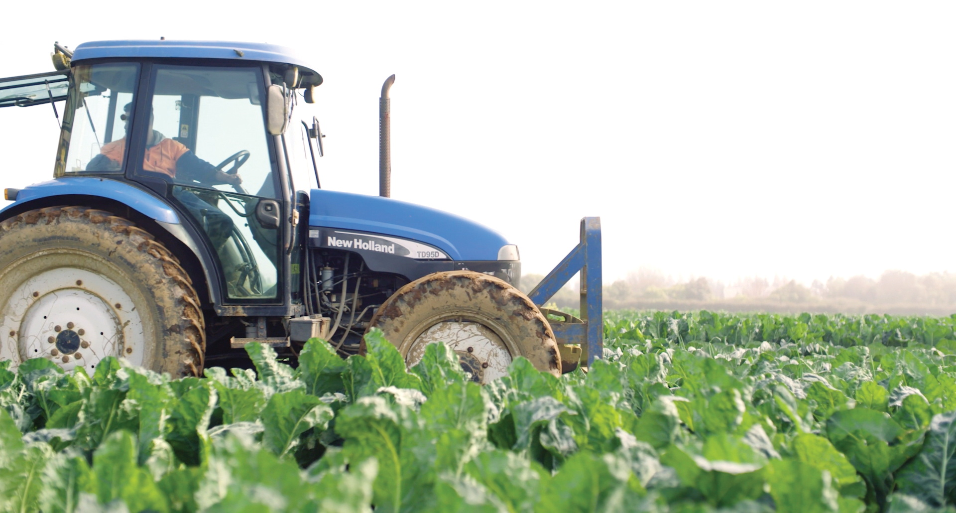 Self Spreading — Precision Farming
