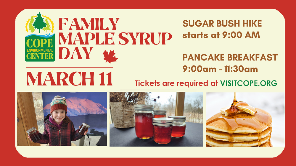 Family Maple Syrup Day 2023 — Cope Environmental Center