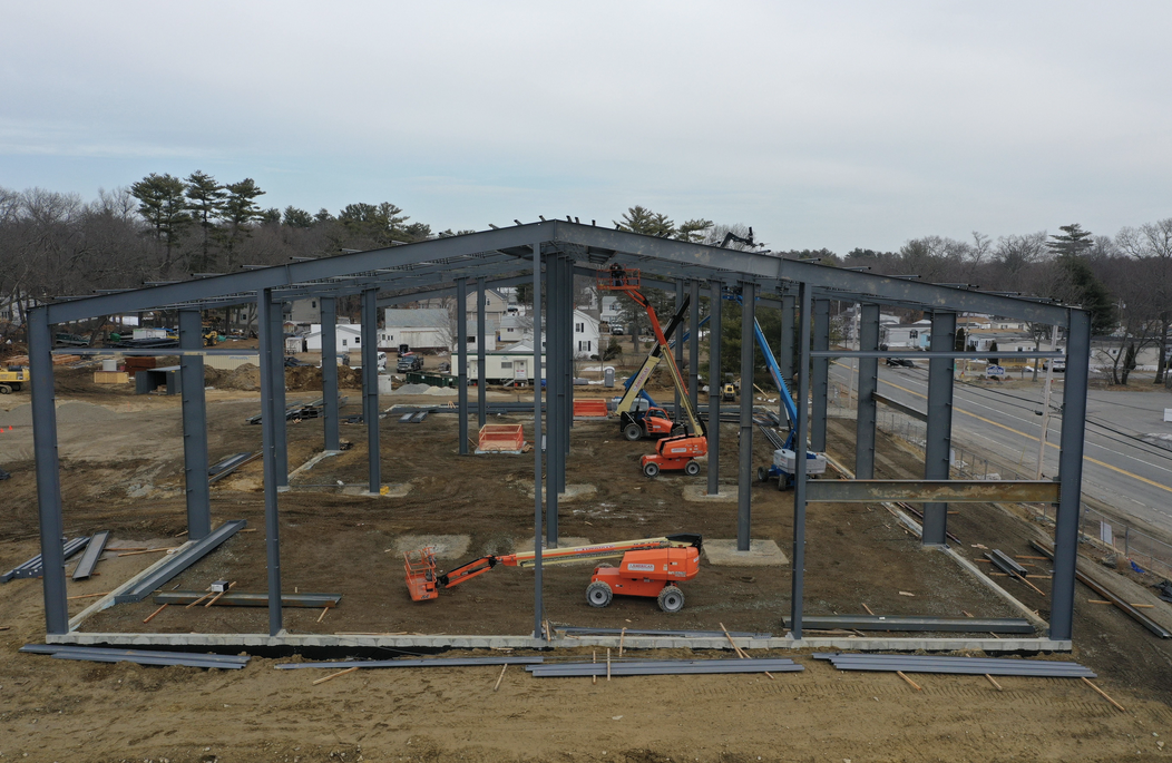 Root & Bloom — Anderson Porter Design