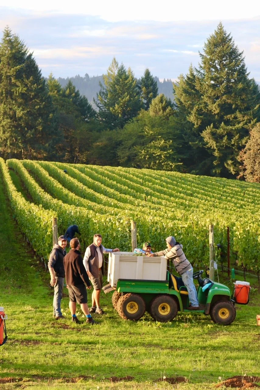 Wines — Craft Wines