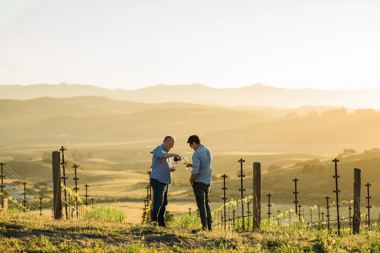 Wines — Craft Wines