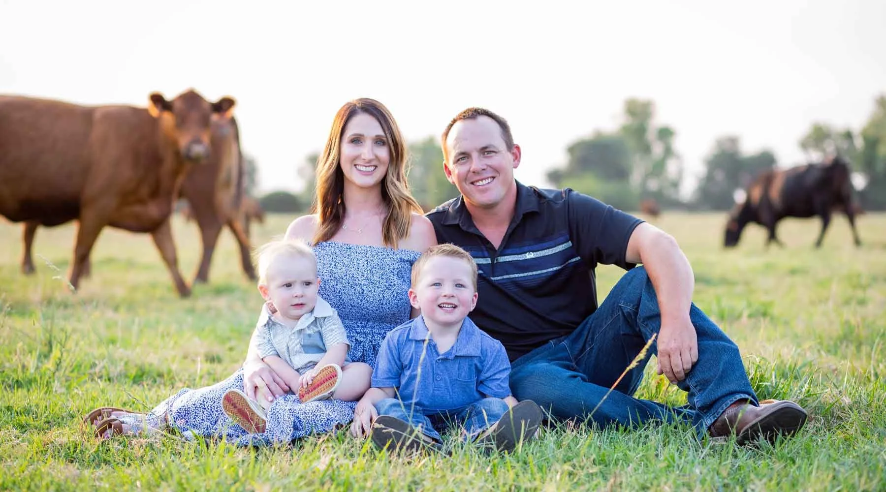 Stegall Cattle Company